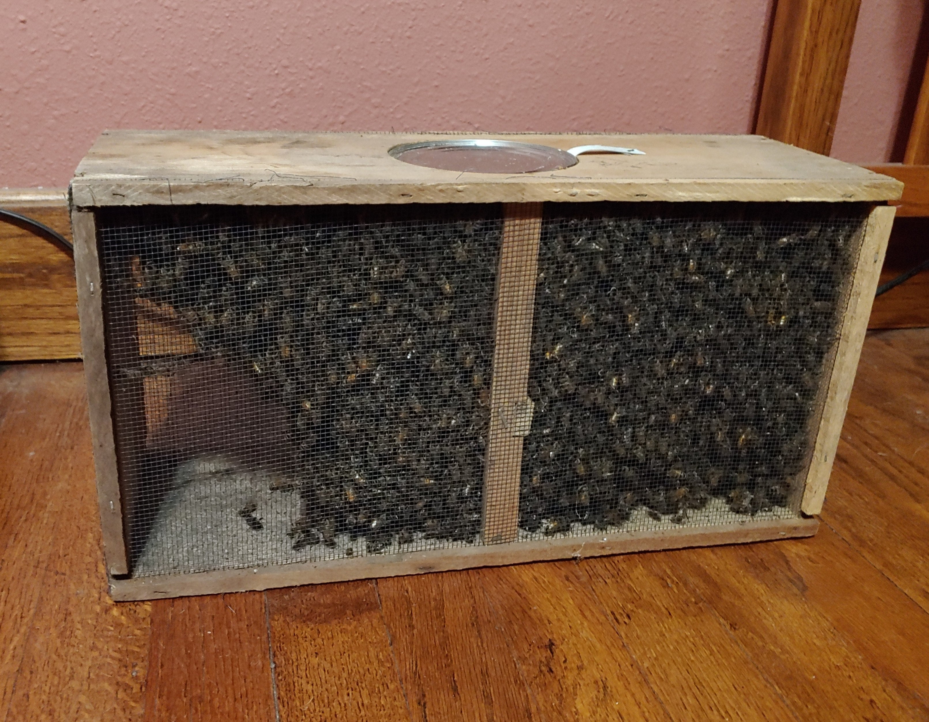 3lb Bee Package {With Queen} | Meadow BlazingStar Honey